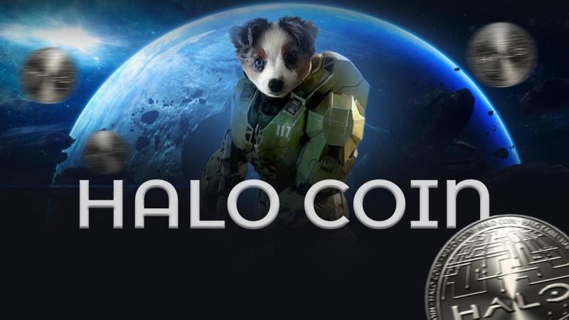 NewMediaWire | HALO COIN Ecosystem Opens Opportunities for Launching ...
